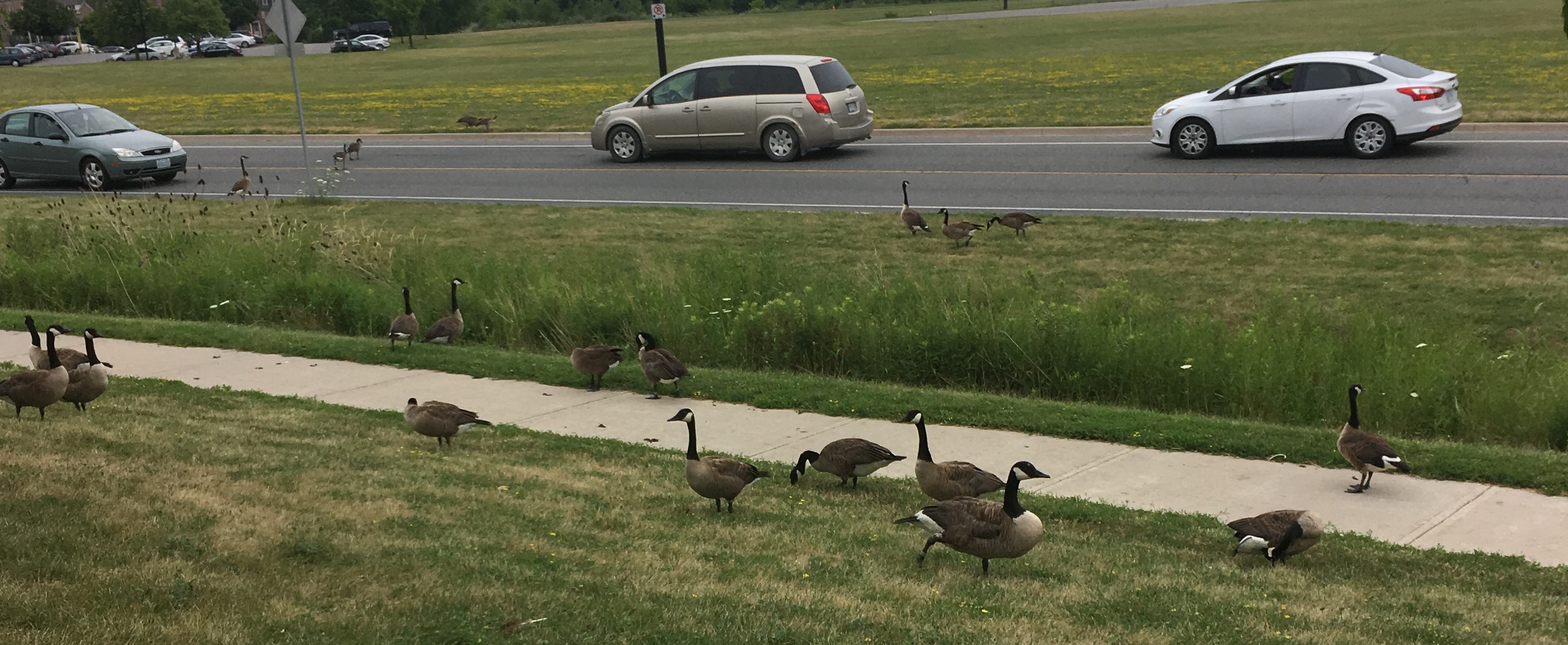 The Emperor Wore Jorts: An Autopsy of the CUPE 3903 2018 Strike from ...